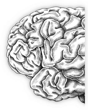 High Impact Digital Advertising Company | PadSquad